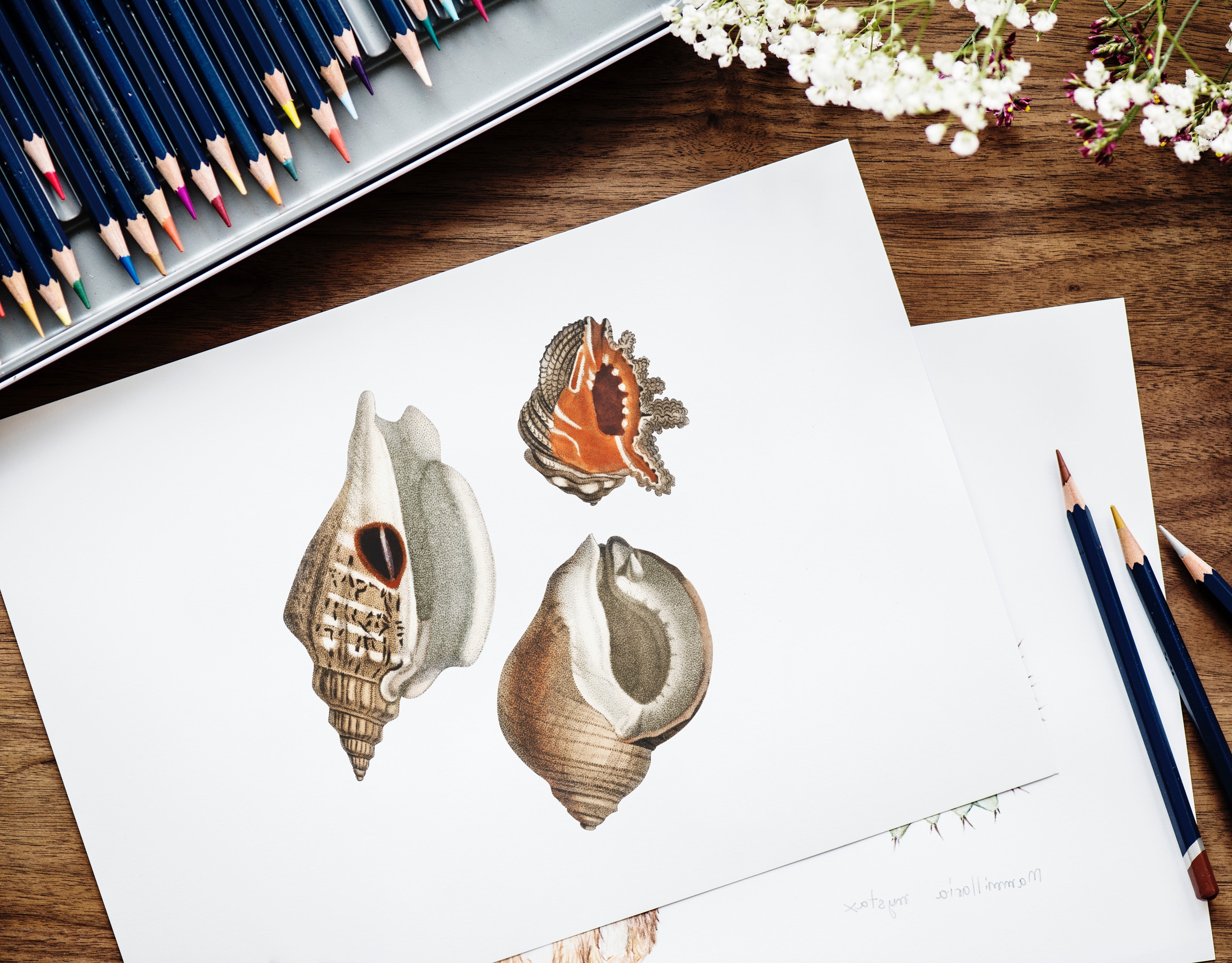 El uso de las ilustraciones en el desarrollo del lenguaje | Vista ...