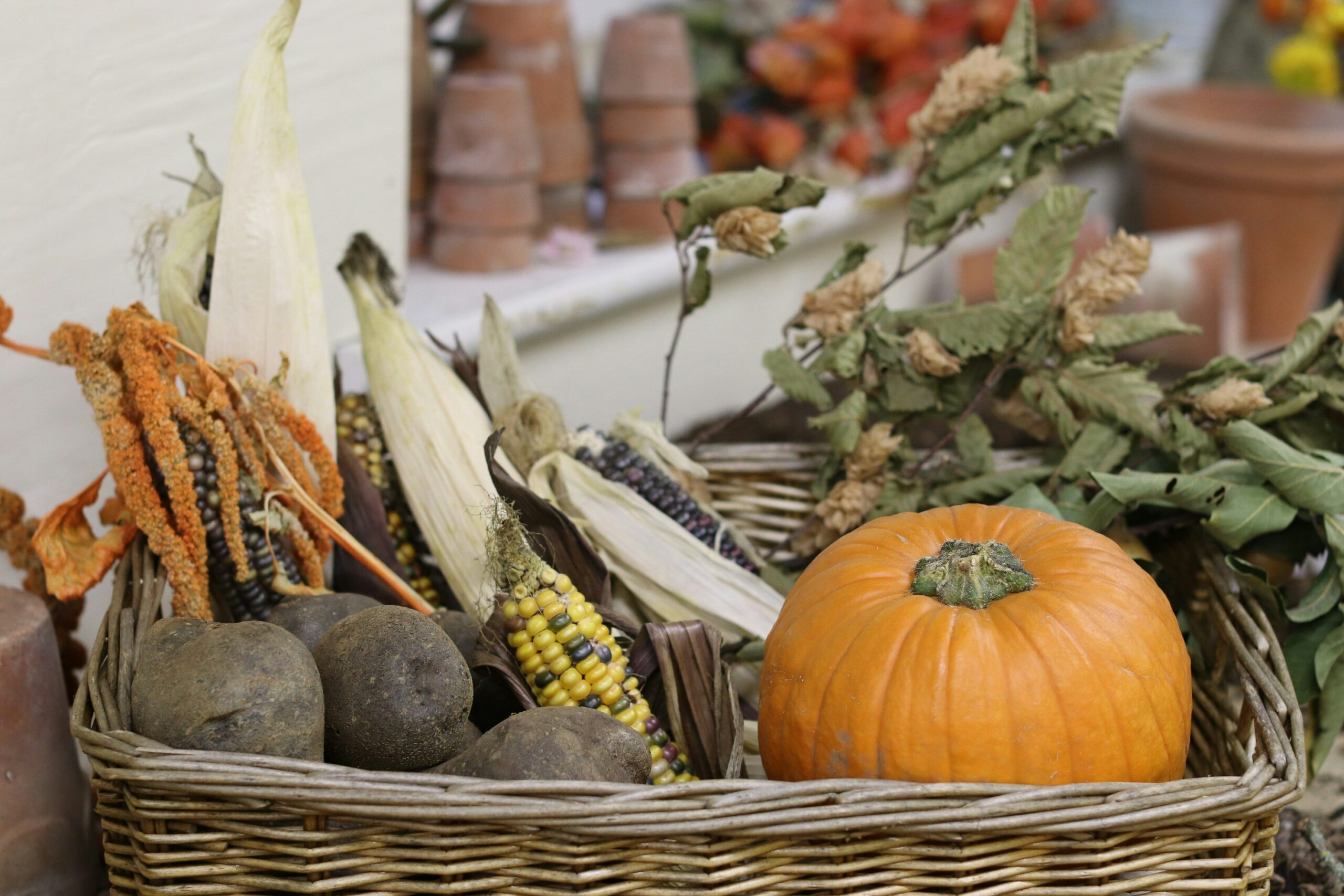 Giving Thanks Around the World in the U.S. and Spanish-Speaking